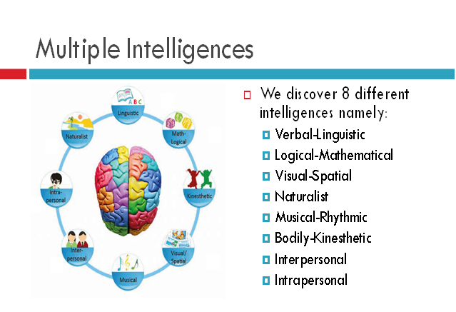 DMIT | DMIT Franchise In India | DMIT Software | Schools Of Excellence